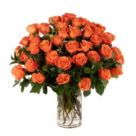 Four Dozen Orange Roses Designed Beautifully