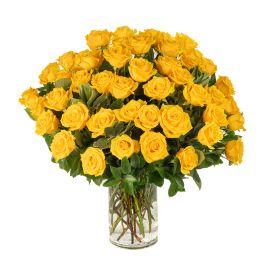 Four Dozen Yellow Roses Arranged Beautifully
