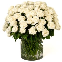100 White Roses Stunning Arrangement Designed Beautifully