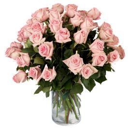Stunning Four Dozen Soft Pink Roses Arranged Beautifully