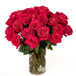 Four Dozen Hot Pink Roses Arranged Beautifully